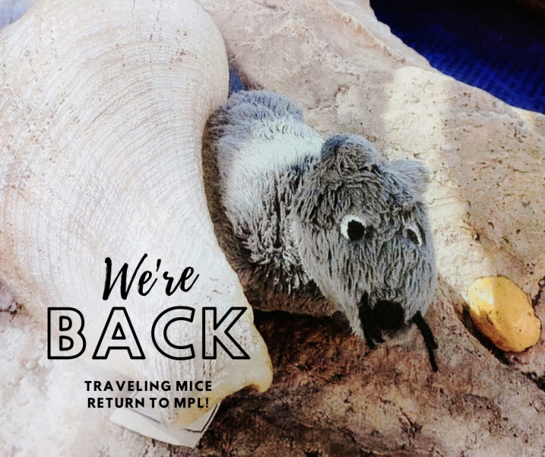 Home · Charlotte and William Bloomberg Medford Public Library